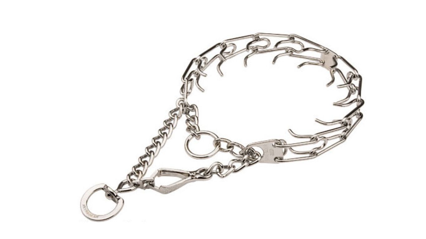 Where Should a Collar Sit on a Dog's Neck | Simple Guide ...