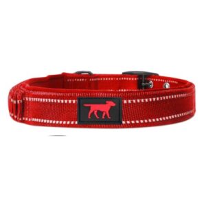 Best Dog Collars for Rottweiler | 6 Top Picks - pawsitivegears.com