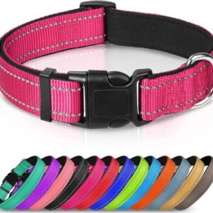 Chewy Dog Collars: Top 6 Durable Options for Chewers
