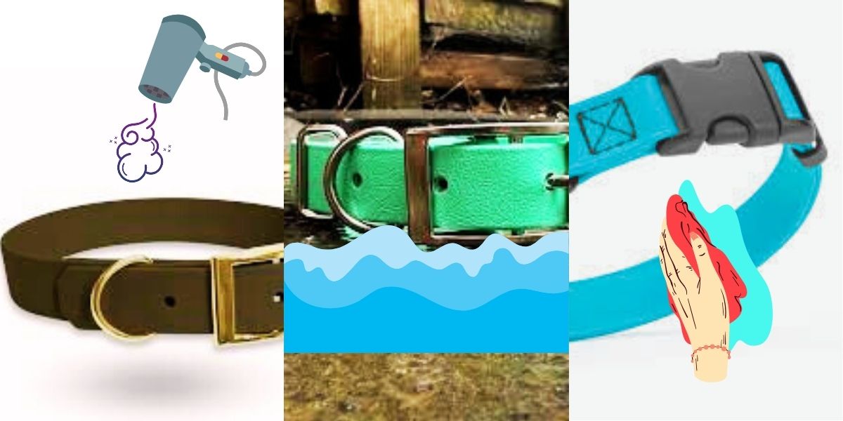 How To Wash Dog Collars: Tips and Tricks for a Fresh Collar ...