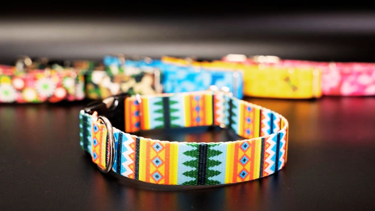 Types of Dog Collars for Walking: 7 Top Types Available ...