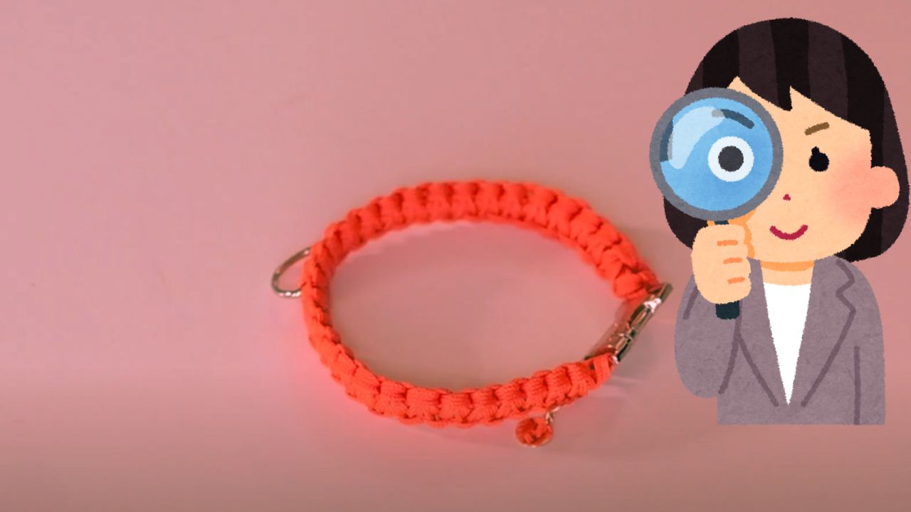 How to Make Dog Collars: A Step-by-Step DIY Guide - pawsitivegears.com