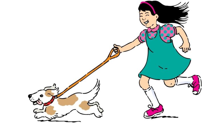 What Is a Flat Collar for Dogs | 6 Different Options - pawsitivegears.com