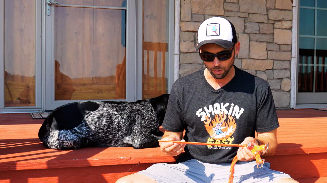 What Is a Flat Collar for Dogs | 6 Different Options - pawsitivegears.com