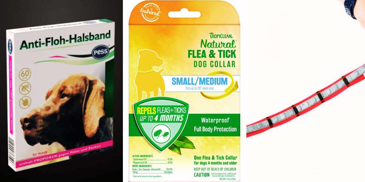 How Do Dog Flea Collars Work | 3 Best Types in Market