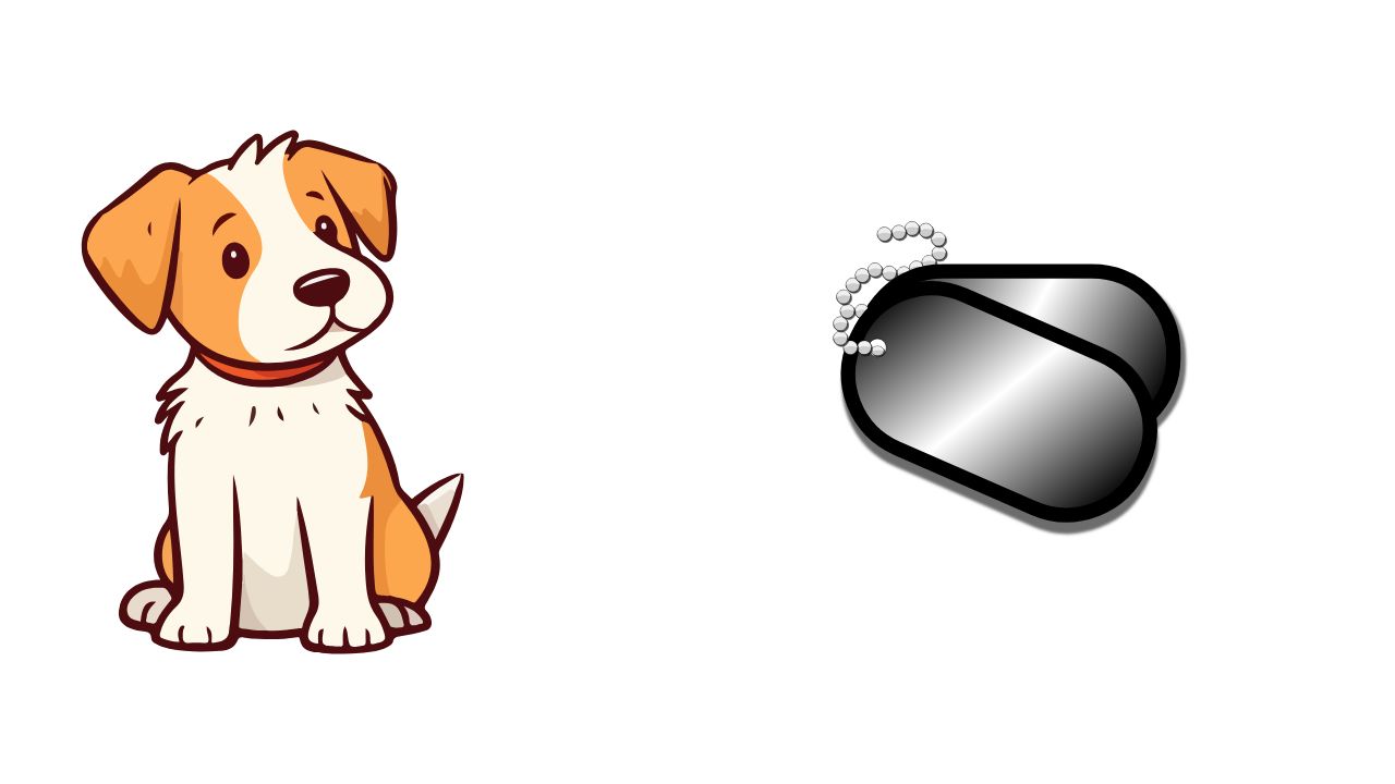 What Is a Flat Collar for Dogs | 6 Different Options - pawsitivegears.com