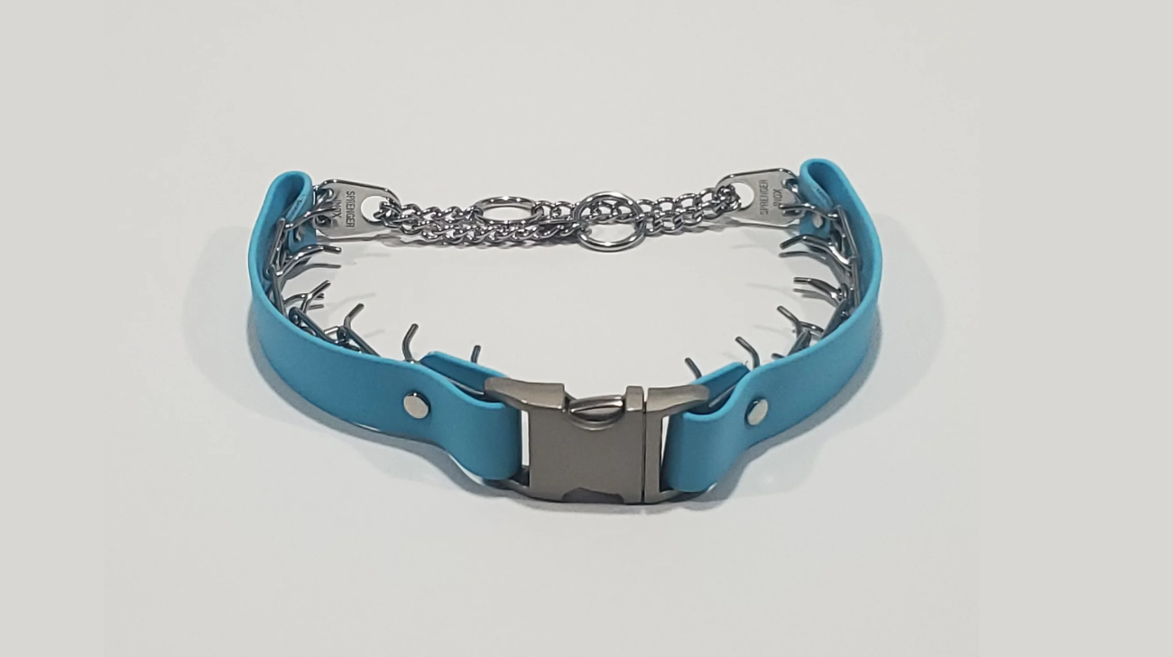 Pinch Collar vs Prong Collar: What Is The Major Difference?