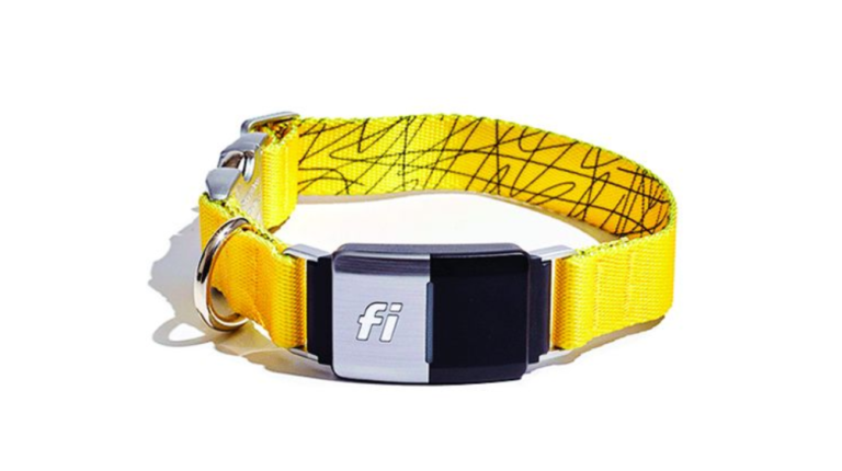 Tractive vs Fi: Amazing Comparison of GPS Pet Trackers
