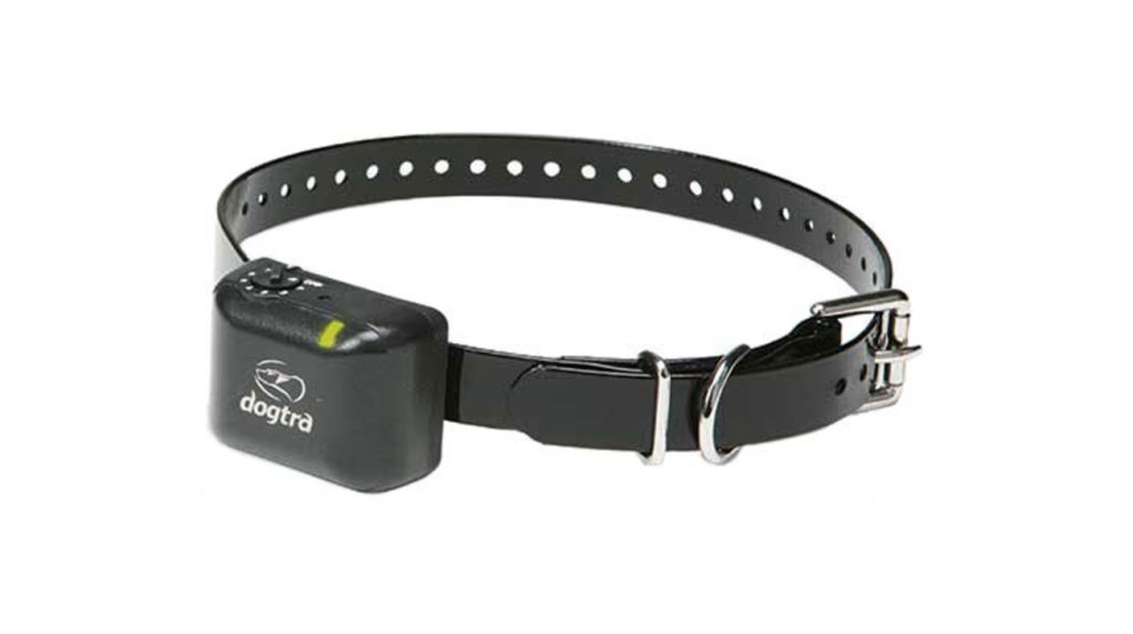 Vibration Collar vs Shock Collar: What to Choose? - pawsitivegears.com