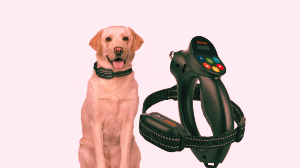 Vibration Collar vs Shock Collar: What to Choose? - pawsitivegears.com