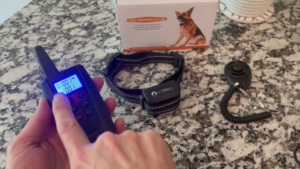 Vibration Collar vs Shock Collar: What to Choose? - pawsitivegears.com