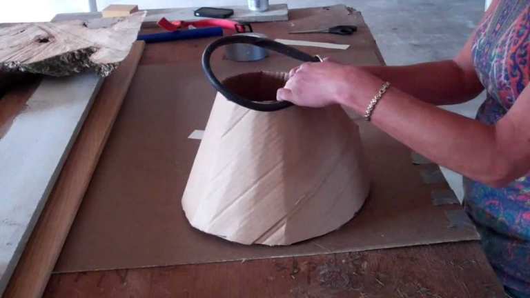 Vet One Cone Instructions: 101 Guide to Use Collar for Pets