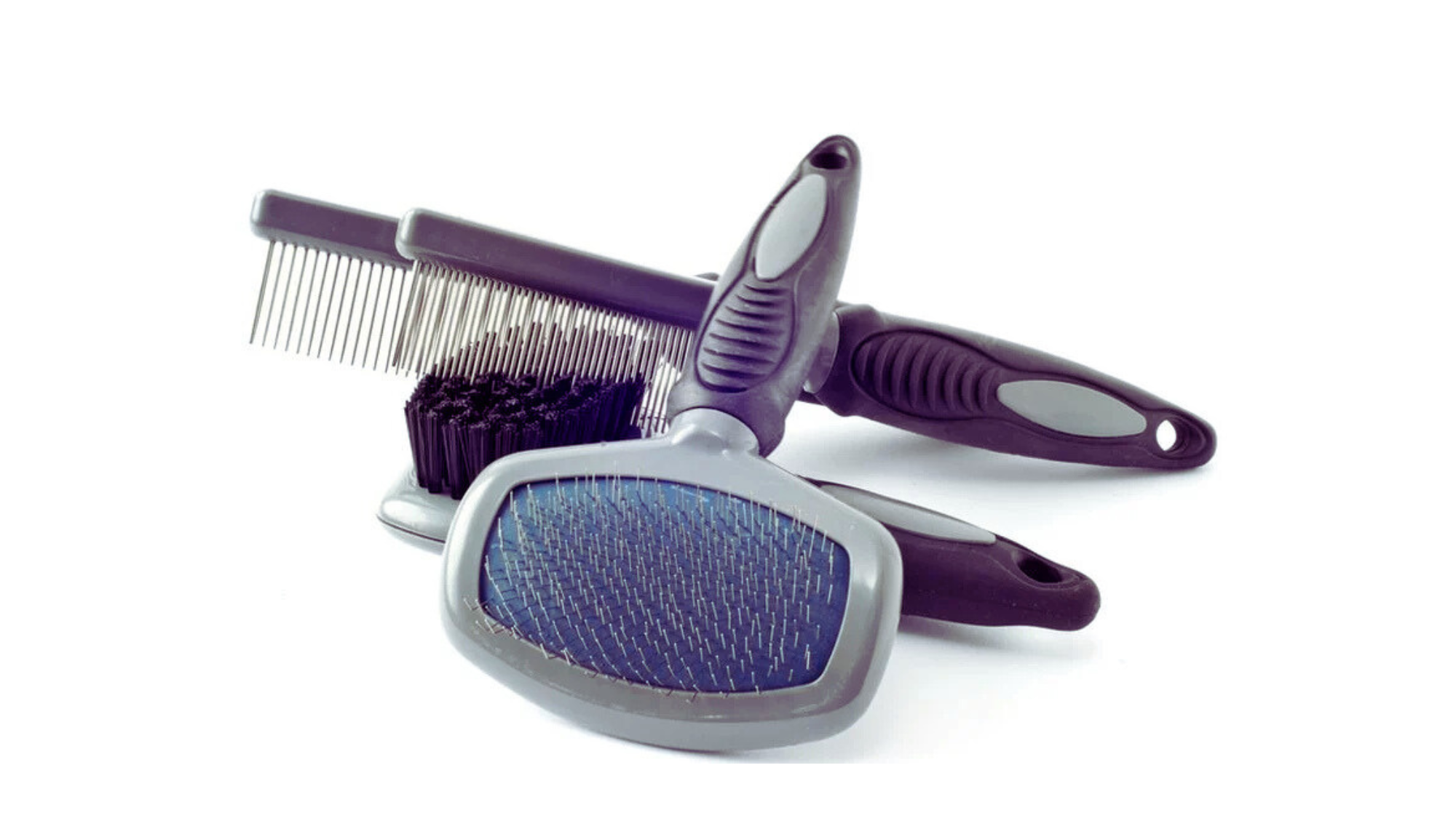 When to Use Which Types of Dog Grooming Brushes?