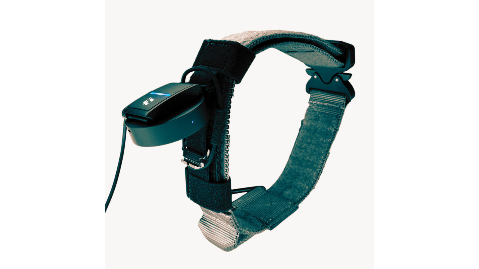 Fi Series 3 Collar Attachment: Features, Setup, and Usage