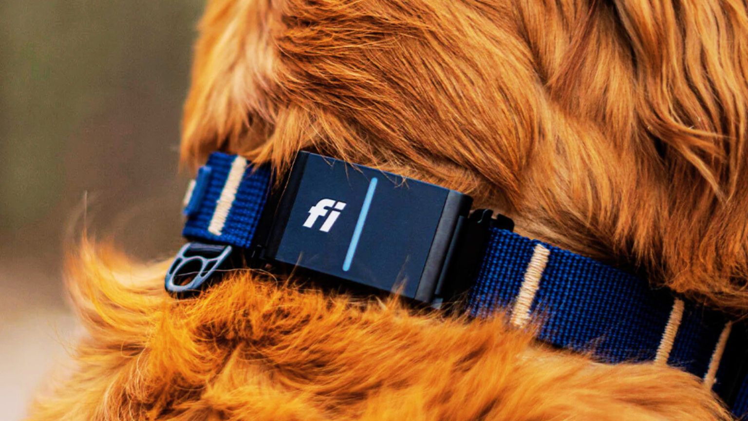 Fi Series 3 Collar Attachment: Features, Setup, and Usage