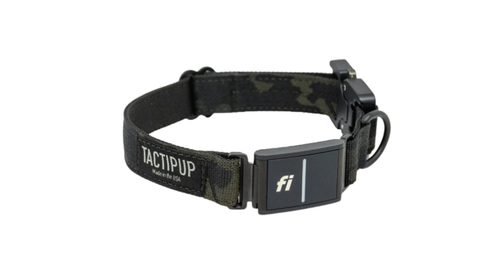 Fi Collar Series 2 vs Fi Collar Series 3 | Features to Know