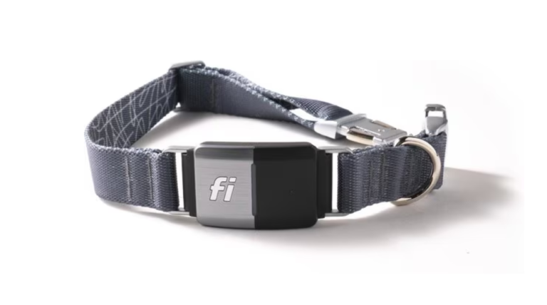 Fi Collar Series 2 vs Fi Collar Series 3 | Features to Know