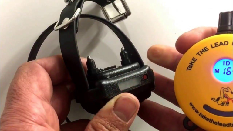 How to Reset Mini Educator Remote | 4 Useful Steps!