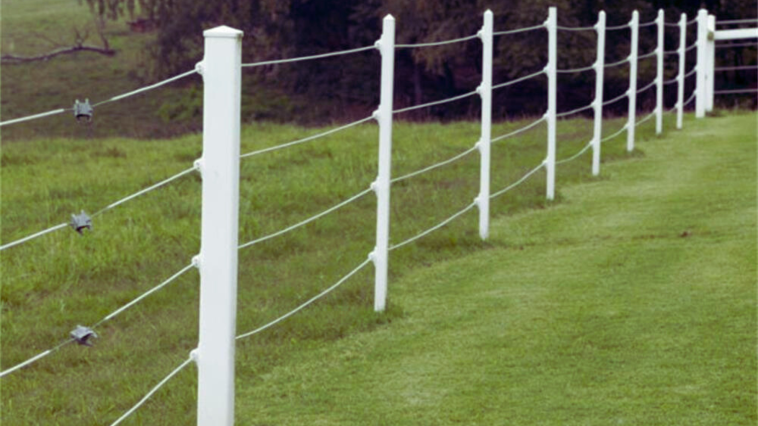 How to Connect an Electric Fence: You Need Only 3 Steps…