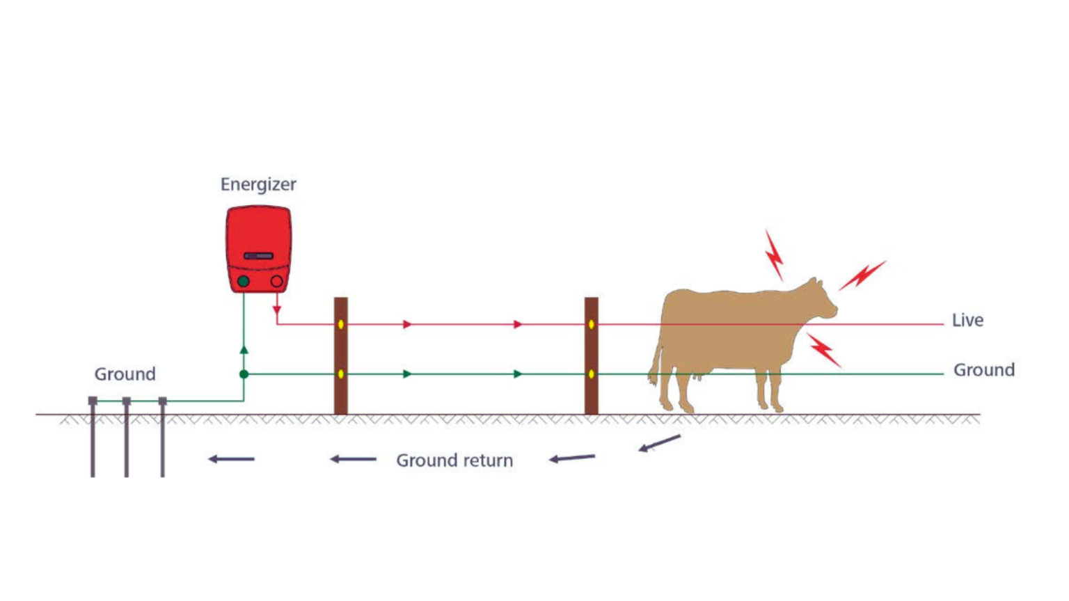 How to Connect an Electric Fence: You Need Only 3 Steps…