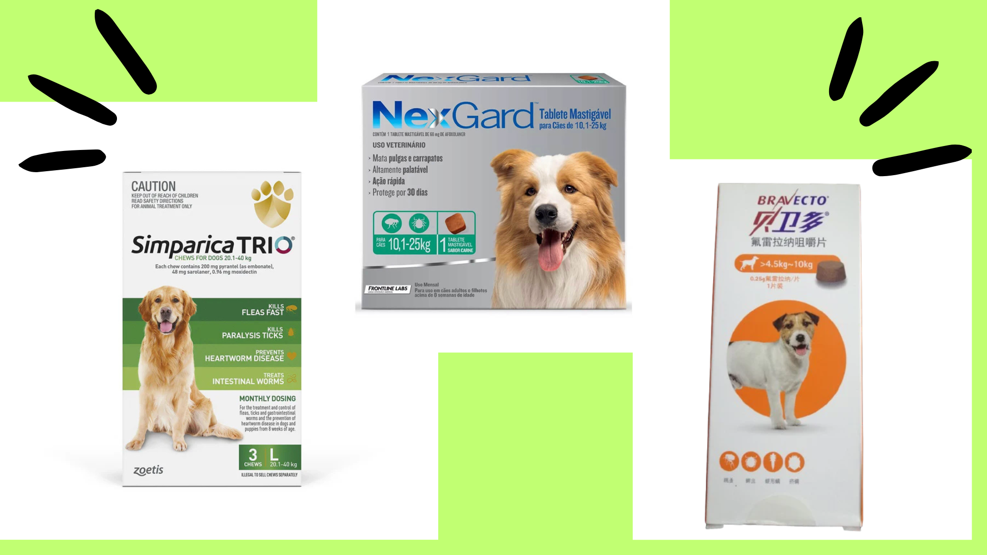 What Is the Safest Flea and Tick Medicine for Dogs: Options