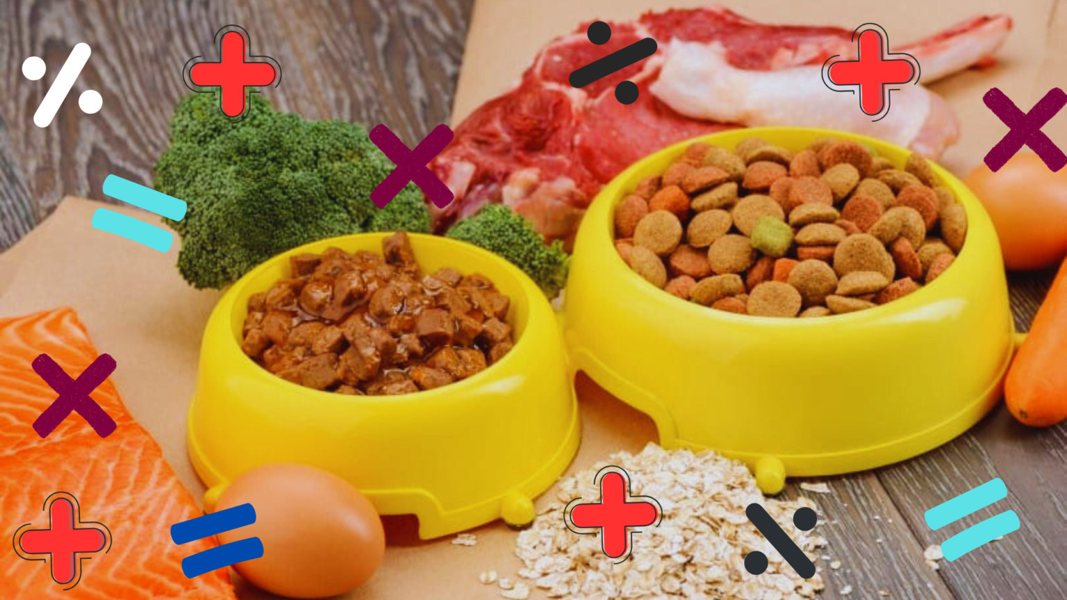 Mixing Wet and Dry Cat Food Calculator: Complete Guide