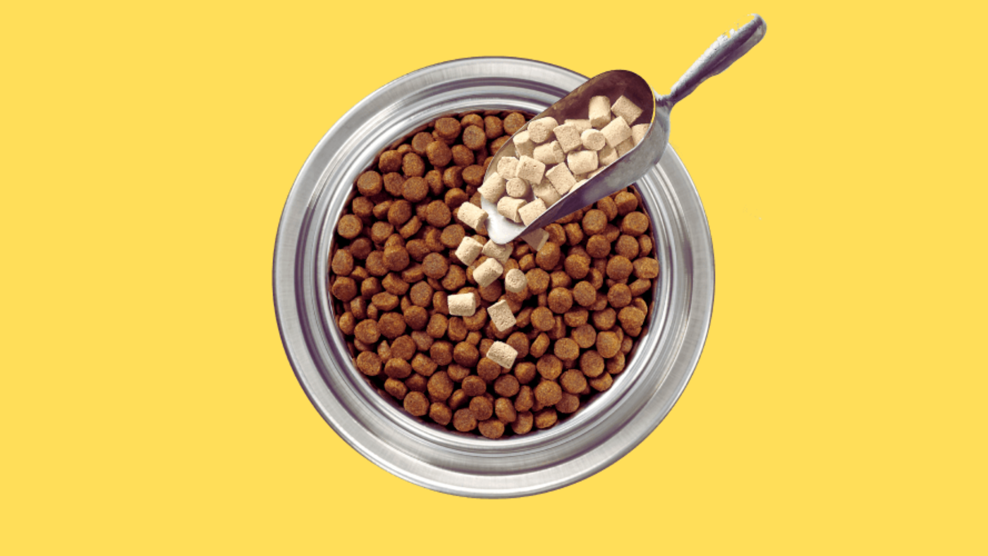 Mixing Wet and Dry Cat Food Calculator: Complete Guide