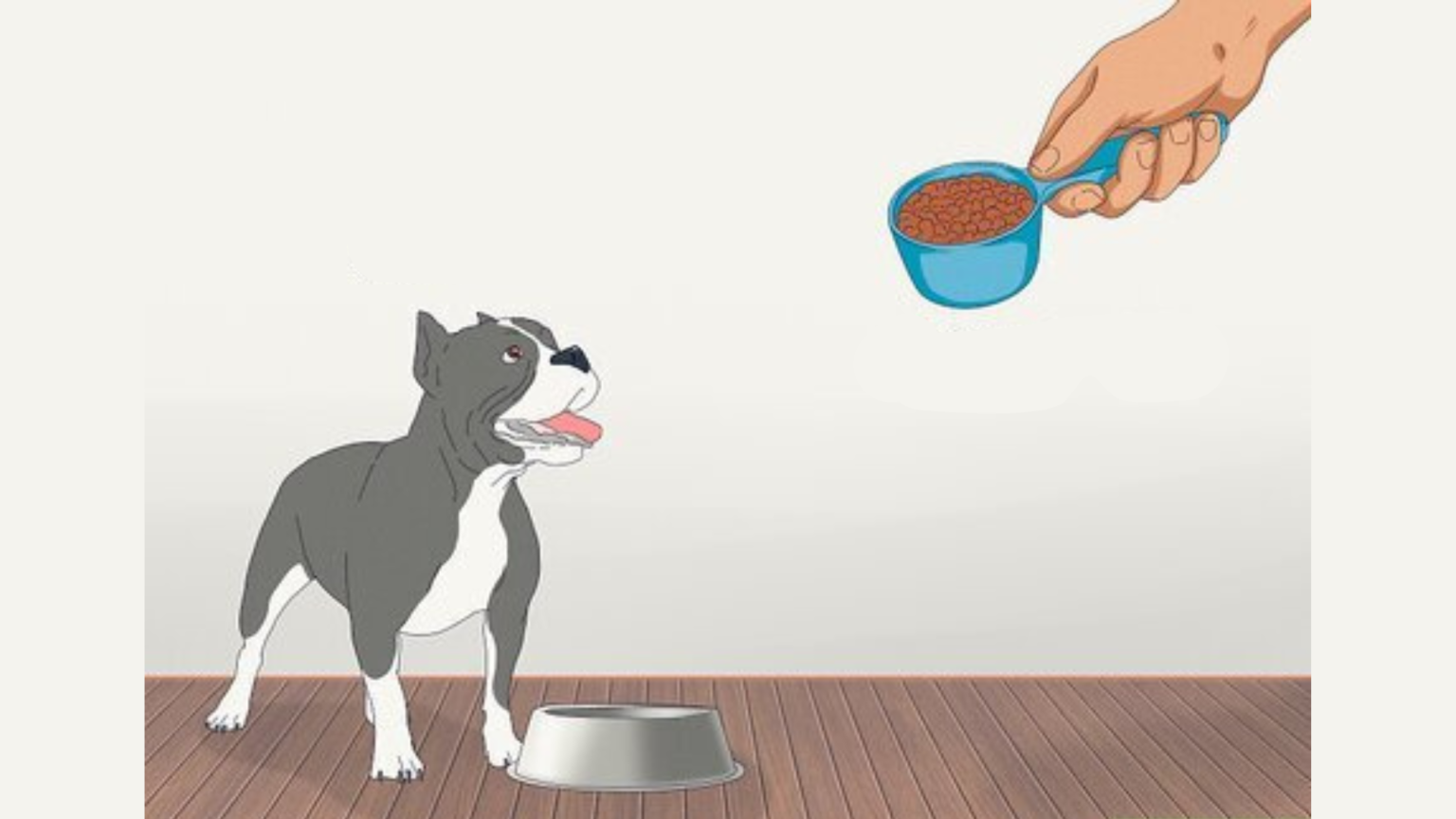 American Bully Food Chart: A Complete Feeding Guide