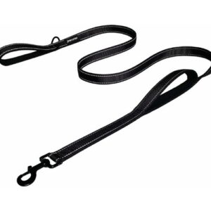 Best Leashes for Training Dogs: Top Picks for 2025 - pawsitivegears.com