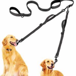 6 Best Dual Dog Leash for Two Dogs in 2025 - pawsitivegears.com