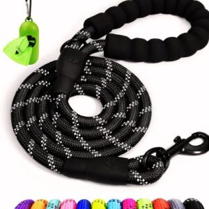 Best Leash for Strong Dogs 2025 | Top Tough Picks - pawsitivegears.com