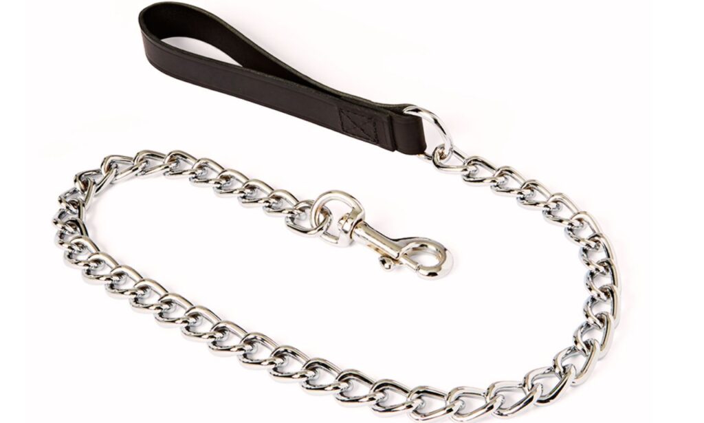 Metal Chain Dog Leash in 2025 - pawsitivegears.com